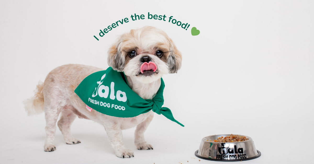 Blog | Nala Fresh Dog Food